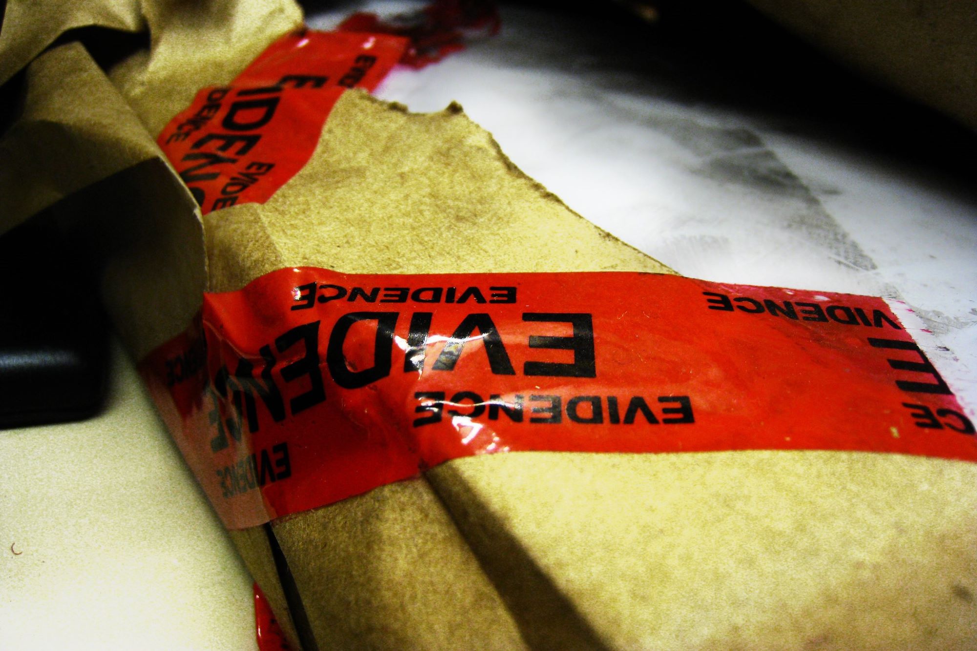 Leveraging Visual Evidence in Court: Mastering Usage for Convincing ...